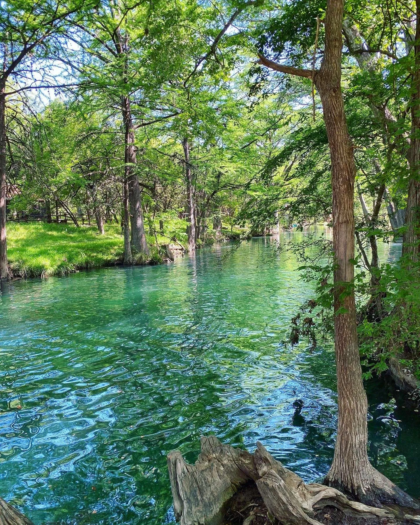 Best Natural Swimming Day Trips Near Austin 🤿 - Austin's Best Food Guides